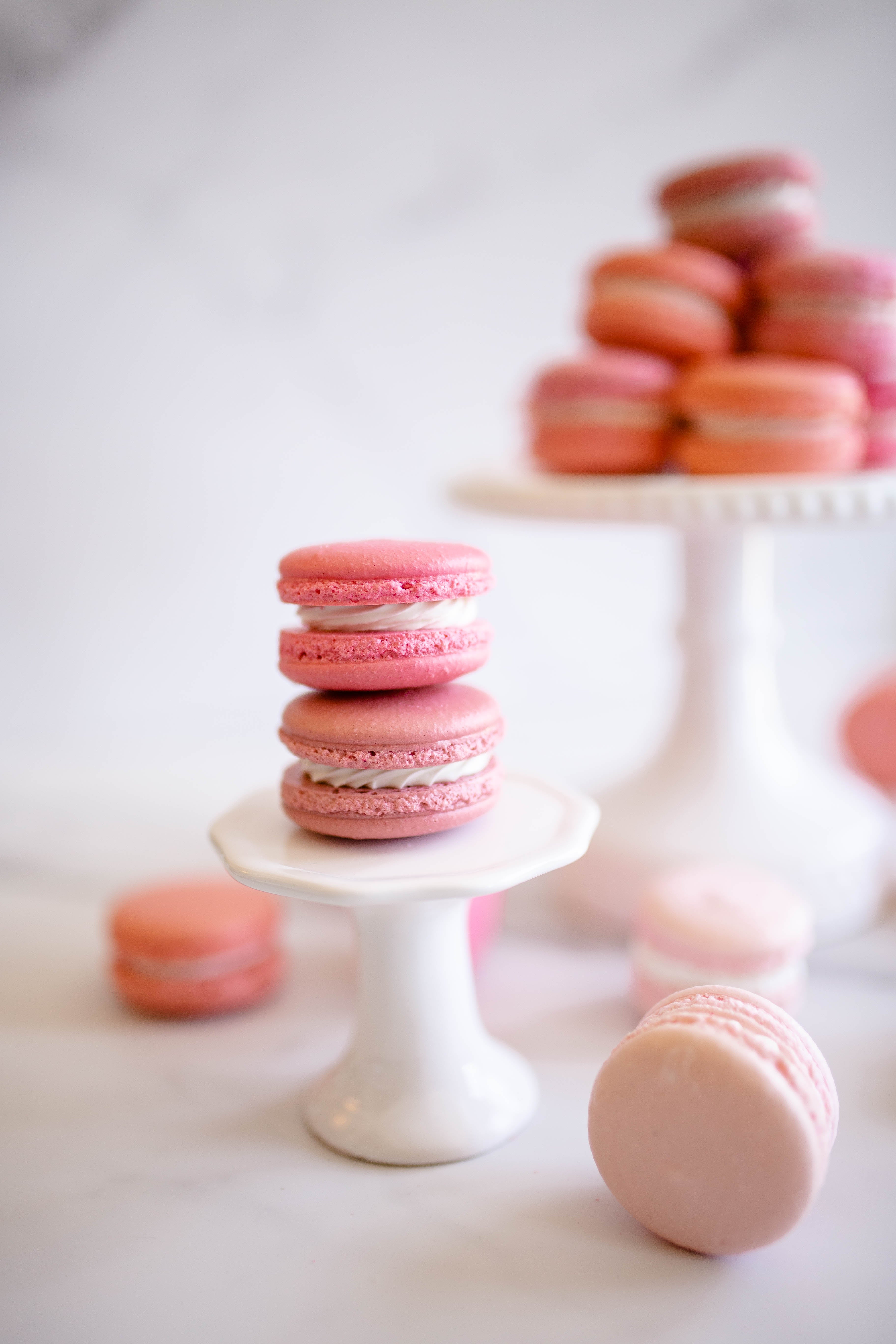 Wholesale Macarons – Love of Macs